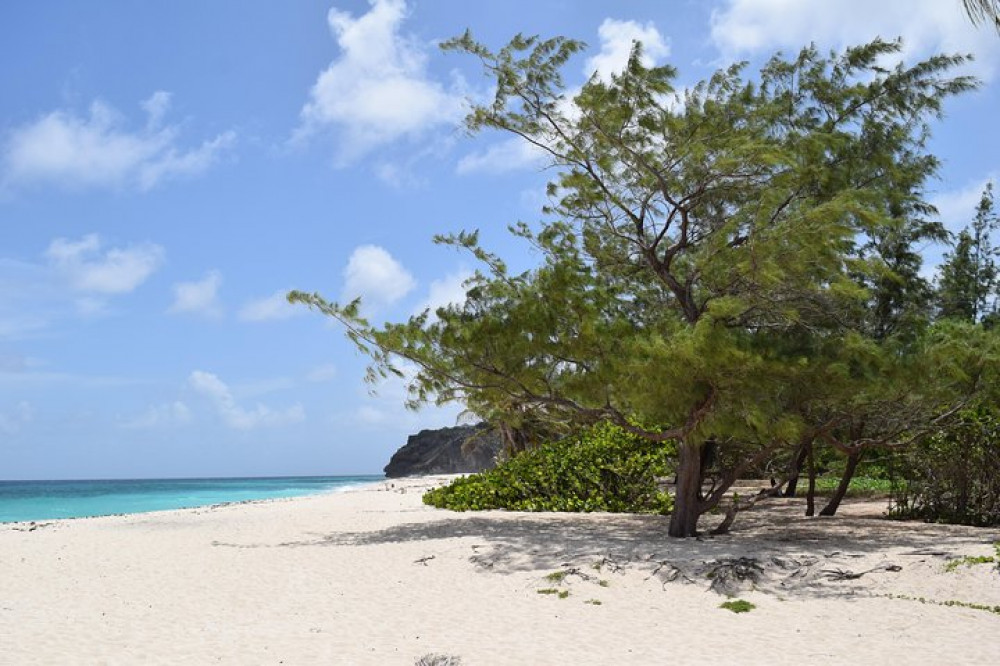 Beautiful Coastal Sightseeing Tour of Barbados - Bridgetown | Project ...