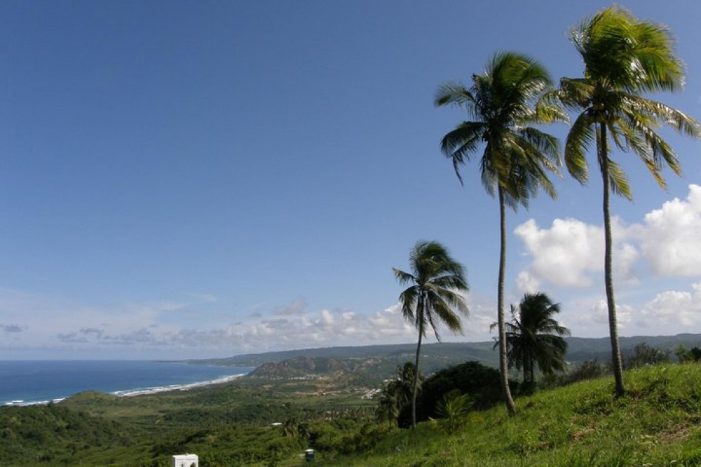 Taste of Barbados Full-day Sightseeing Tour - Bridgetown | Project ...