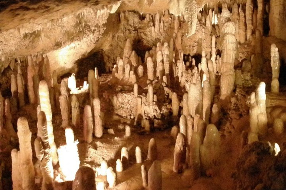 Treasures of Barbados Cave and Plantation Sightseeing Tour - Bridgetown ...