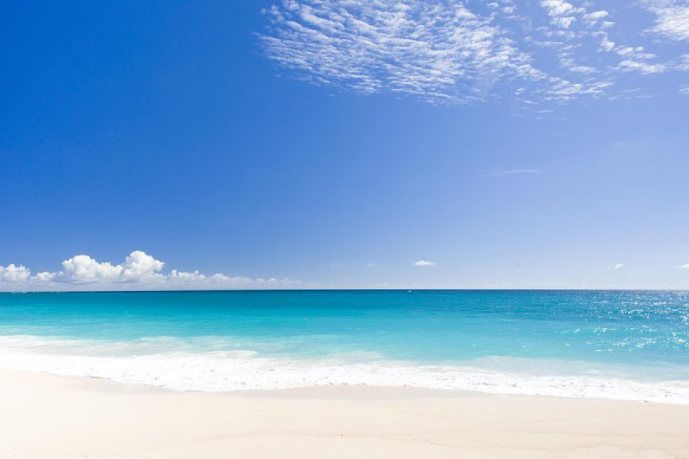 Beach Day At Savvy On The Bay With Shuttle Transfers - Bridgetown ...