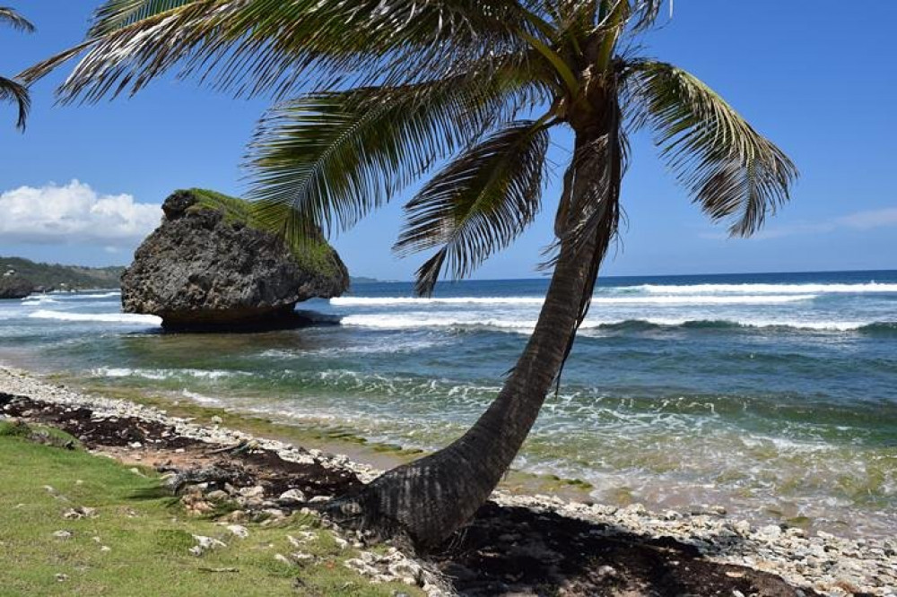 Private Full-Day Barbados Excursion - Bridgetown | Project Expedition