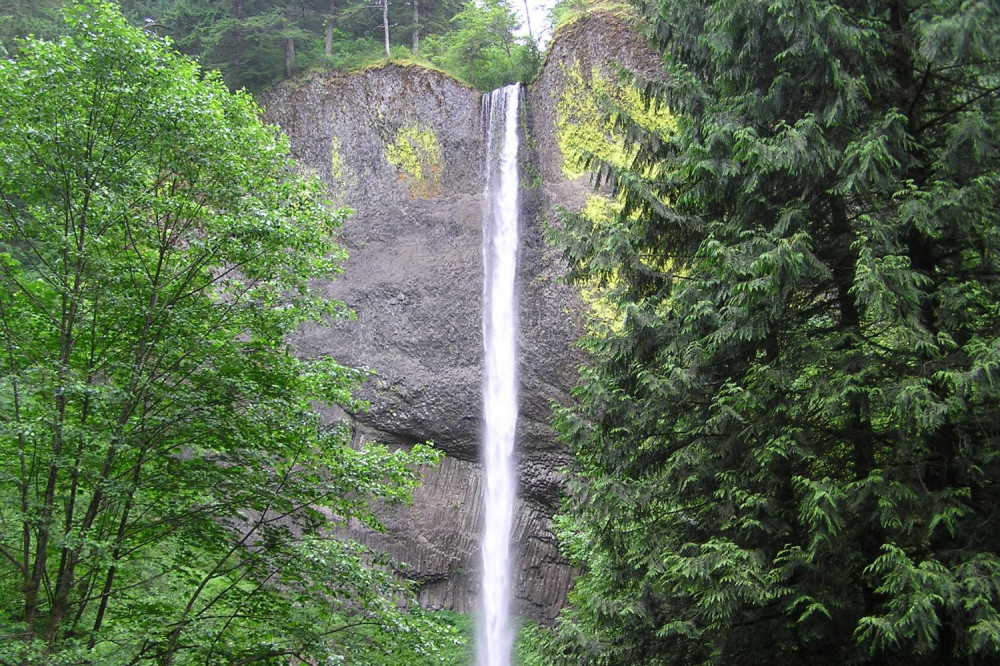 Waterfall Express - Transportation to The Waterfall Trolley - Portland ...