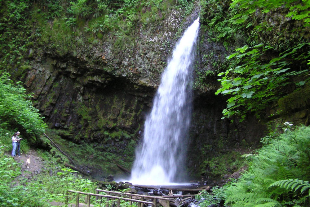 Waterfall Express - Transportation to The Waterfall Trolley - Portland ...