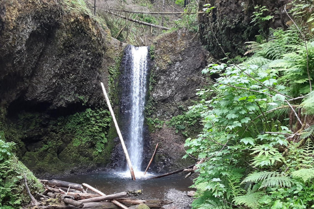 Waterfall Express - Transportation to The Waterfall Trolley - Portland ...