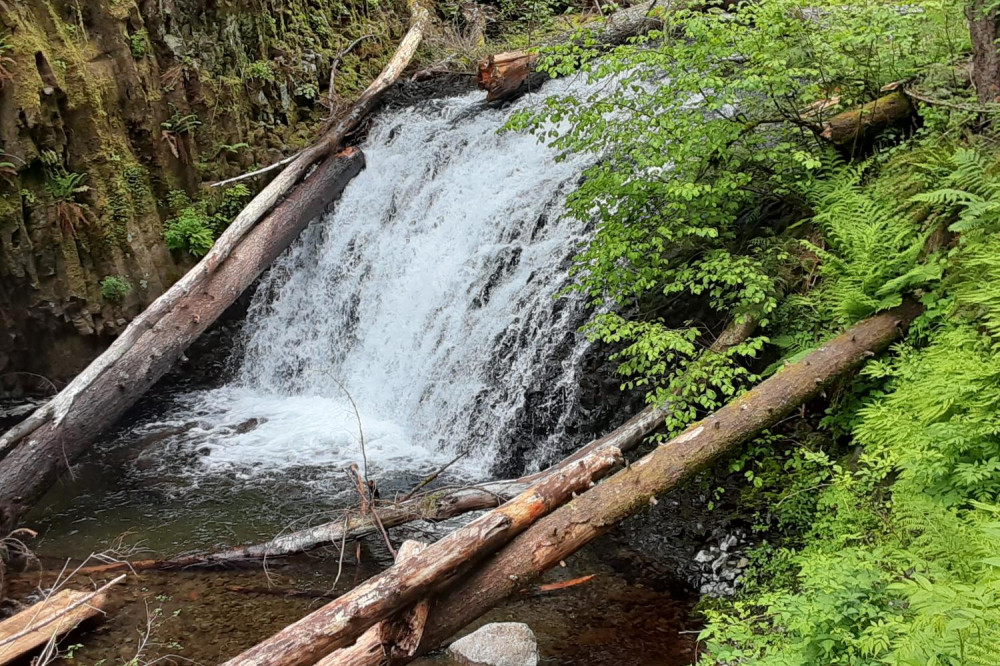 Waterfall Express - Transportation to The Waterfall Trolley - Portland ...