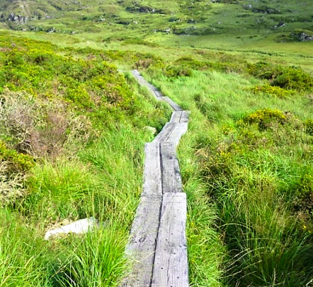 Private Guided Torc Waterfall & Mountain Hike From Kerry - Killarney ...