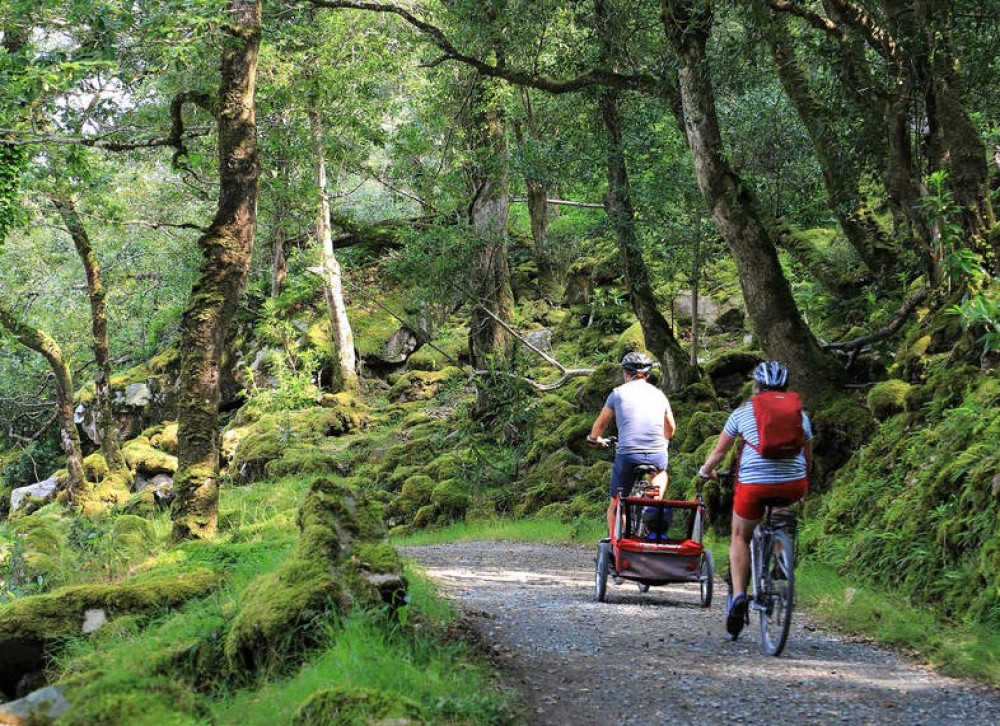 Half Day Cycling In Glenveagh National Park From Donegal - Donegal ...