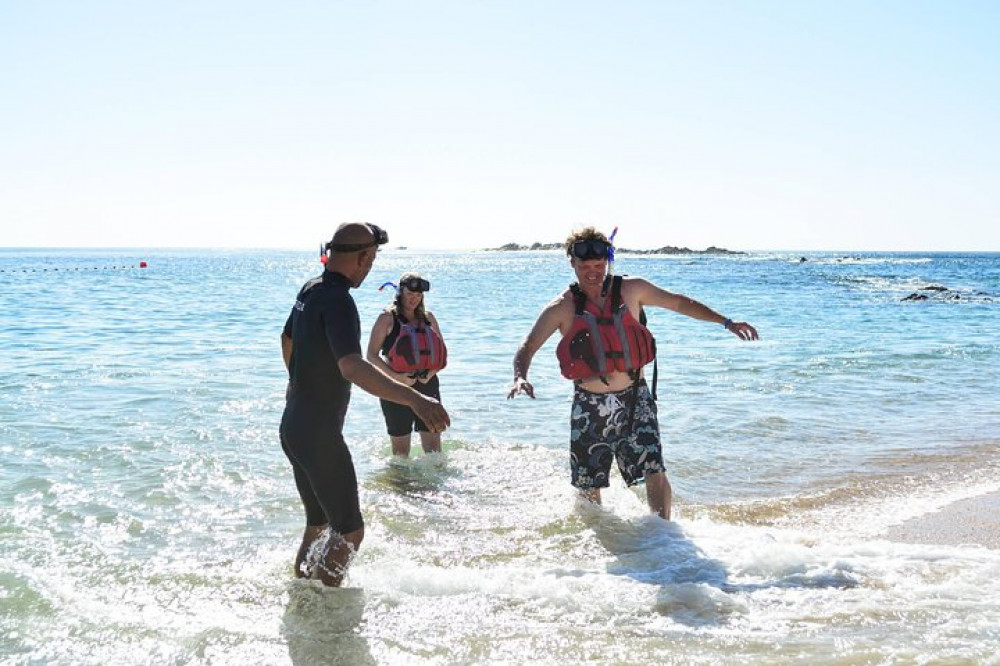 Los Cabos Snorkeling Tour To Chileno Bay And Santa Maria Cove - Cabo ...