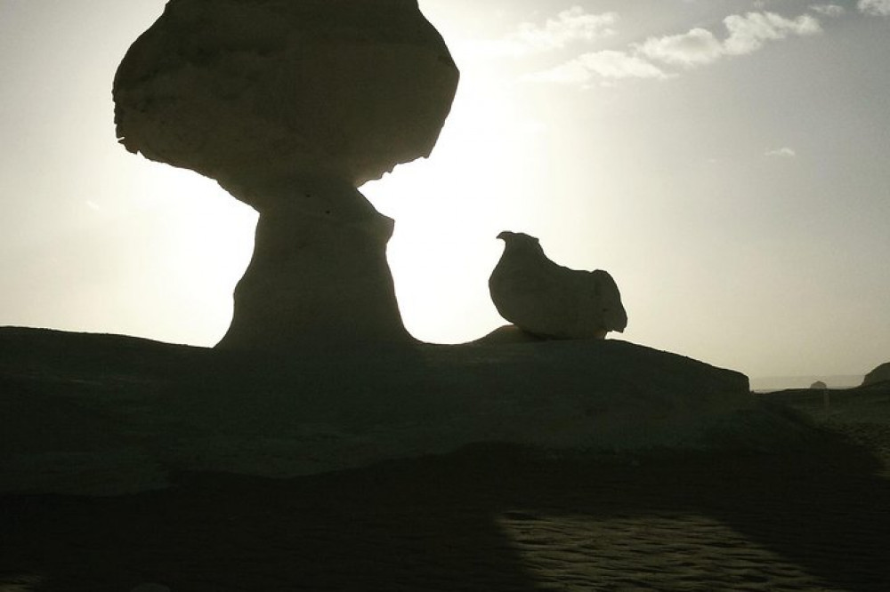 Bahareya Oasis: Unforgettable Overnight In The White Desert - Cairo ...