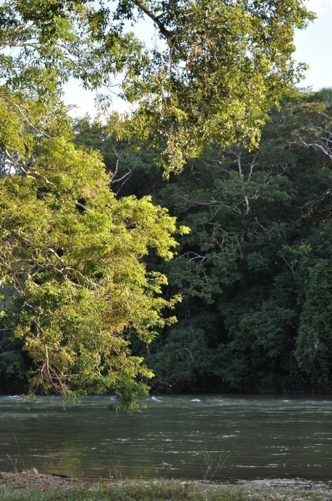 Mopan River | Sights & Attractions - Project Expedition