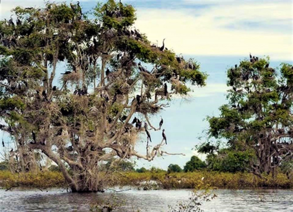 Prek Toal Birds Sanctuary & Floating Village Private Tour from Siem ...