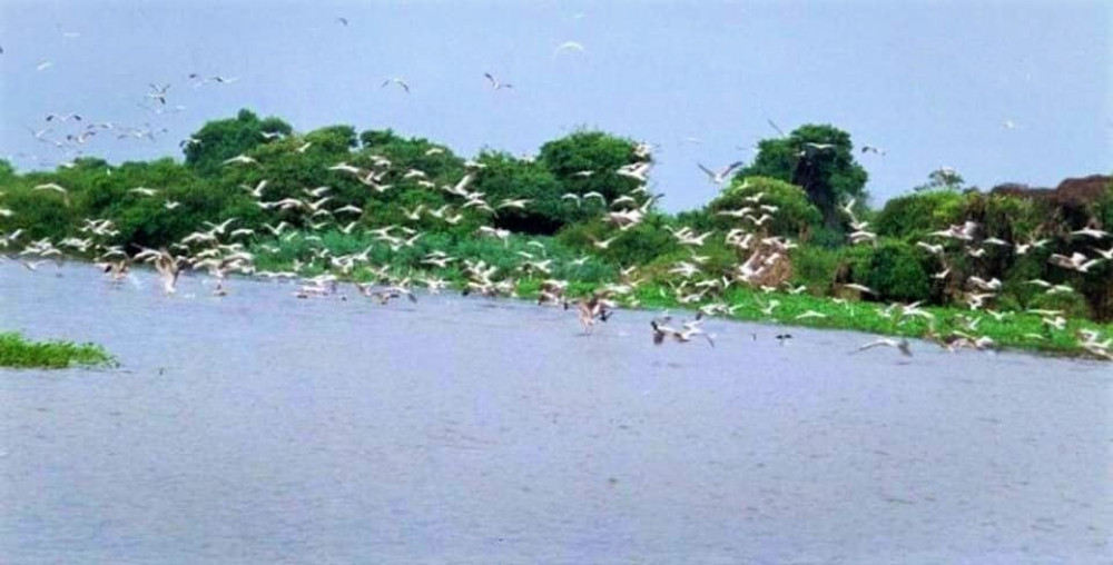 Prek Toal Birds Sanctuary & Floating Village Private Tour from Siem ...