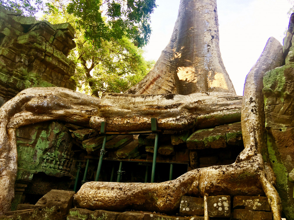 Angkor Wat Sunrise & Highlight Temples Private Guided Day Tour - Siem ...