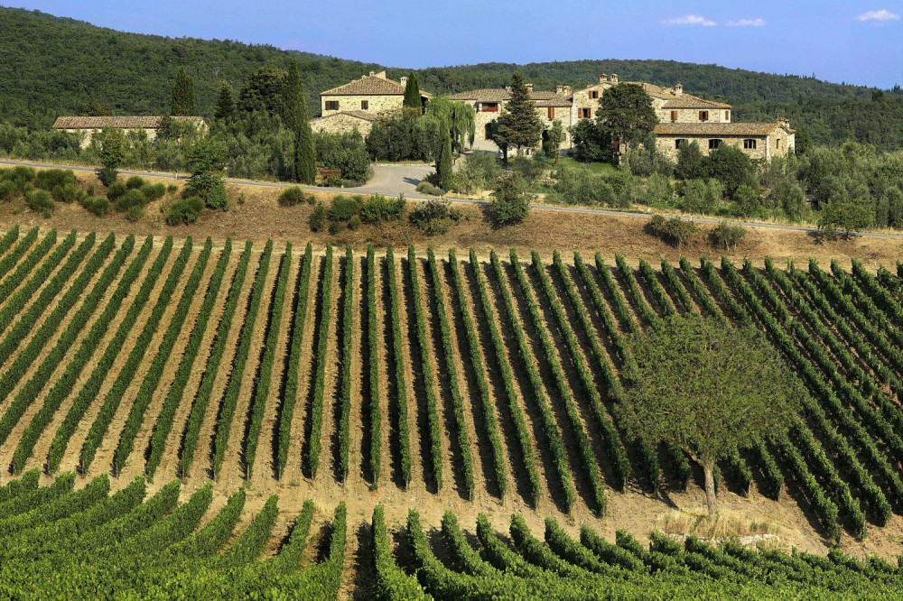 Chianti Authentic Experience Afternoon Tour with Two Wine Tasting ...