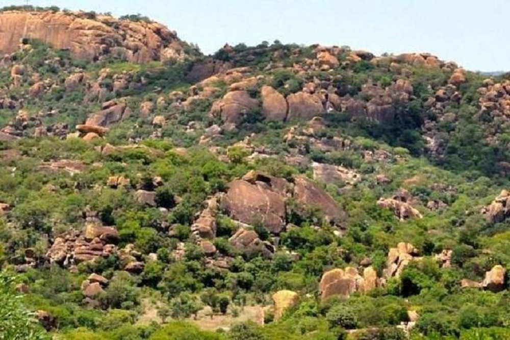 Matopos Park Game Drive With Rhino Tracking - Bulawayo | Project Expedition