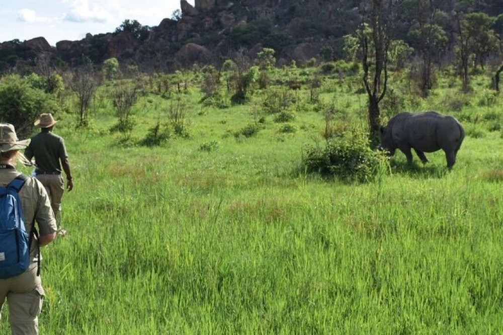 Matopos Park Game Drive With Rhino Tracking - Bulawayo | Project Expedition