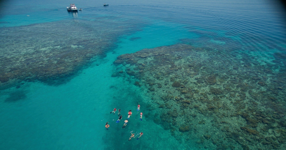 Ocean Freedom Cruise to Upolu Cay Reef & Outer Edge Upolu Reef - Cairns ...