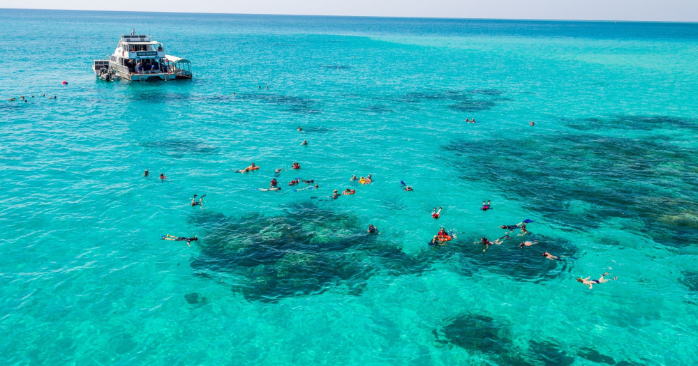 Ocean Freedom Cruise to Upolu Cay Reef & Outer Edge Upolu Reef - Cairns ...