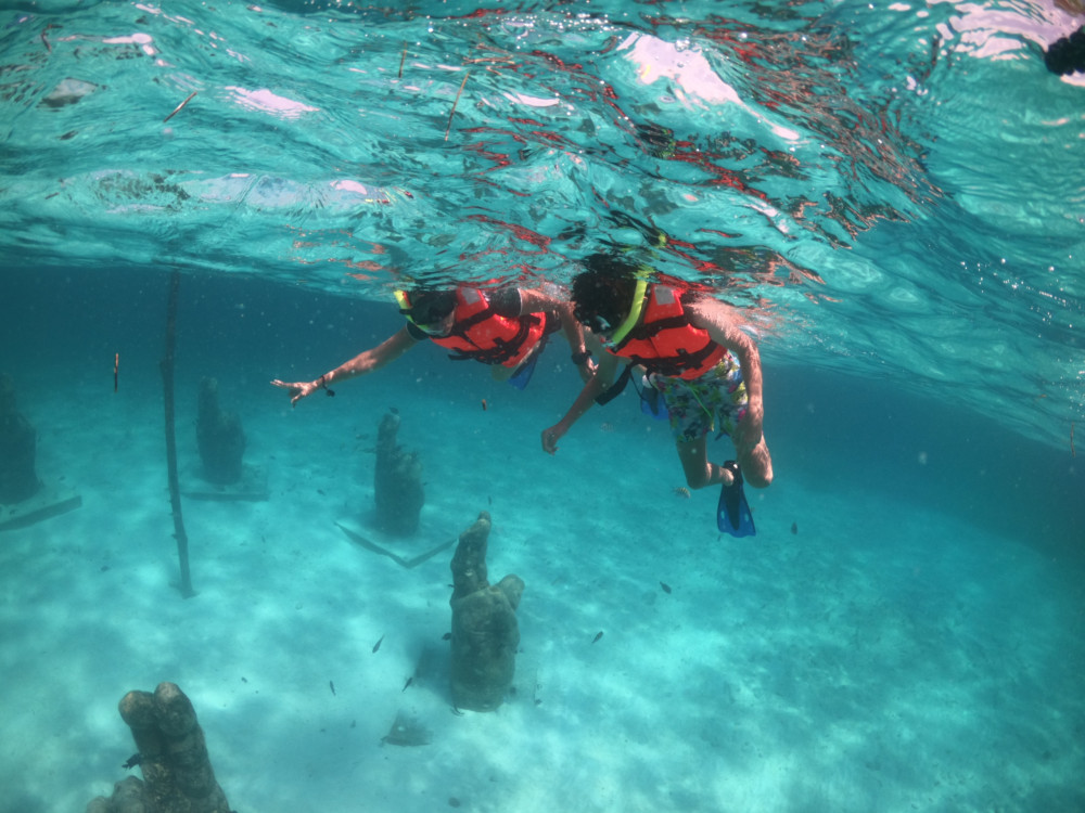 Enva Tours - Project Expedition