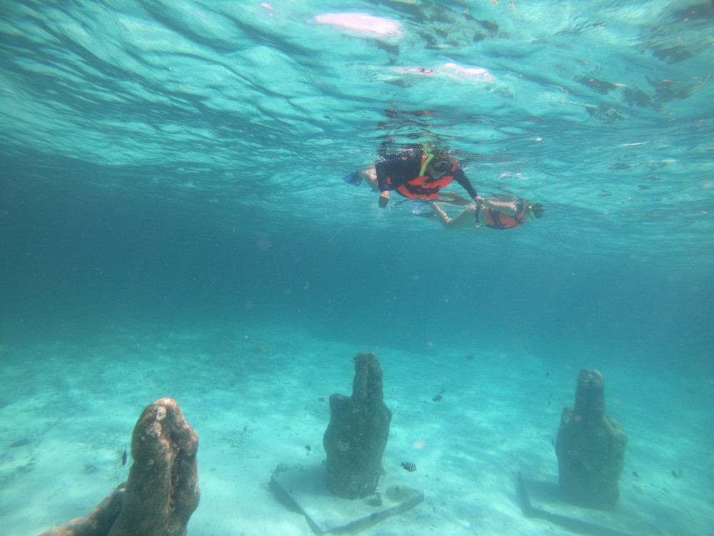 Enva Tours - Project Expedition