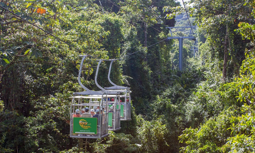 3-in-1 Sky Tram, Sky Trek and Sky Walk - Monteverde | Project Expedition