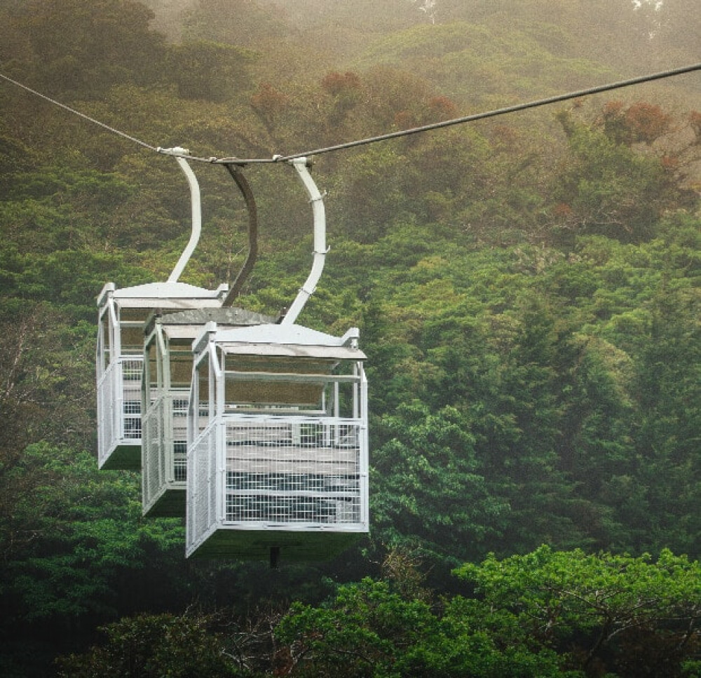 3-in-1 Sky Tram, Sky Trek and Sky Walk - Monteverde | Project Expedition