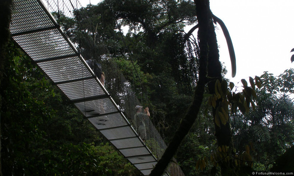 Arenal Volcano National Park Highlights | Day Tour - La Fortuna ...