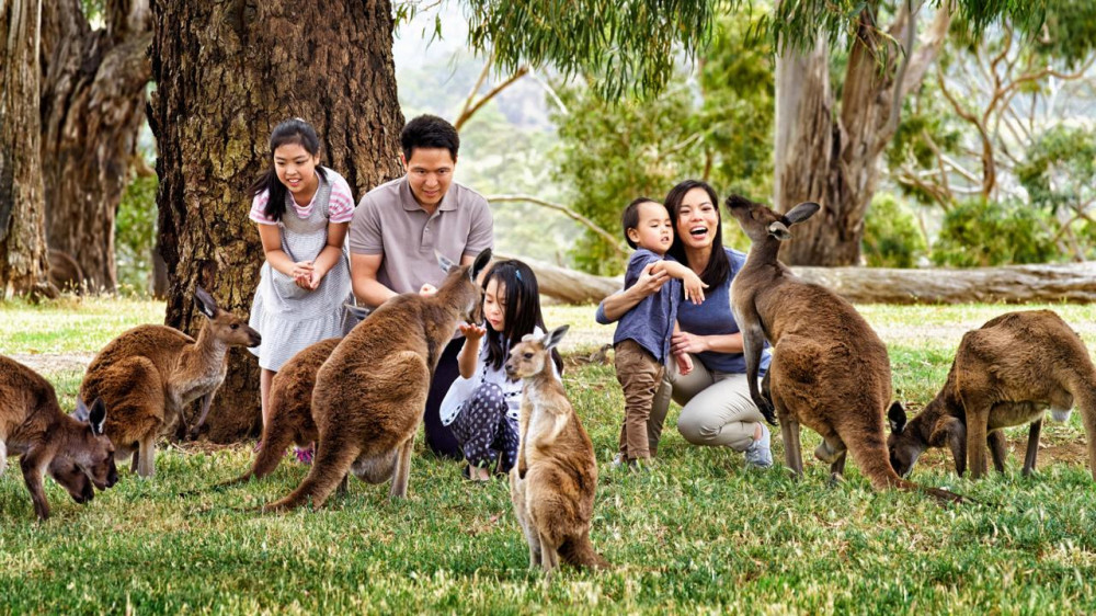 Cleland Wildlife Park Experience - Adelaide | Project Expedition