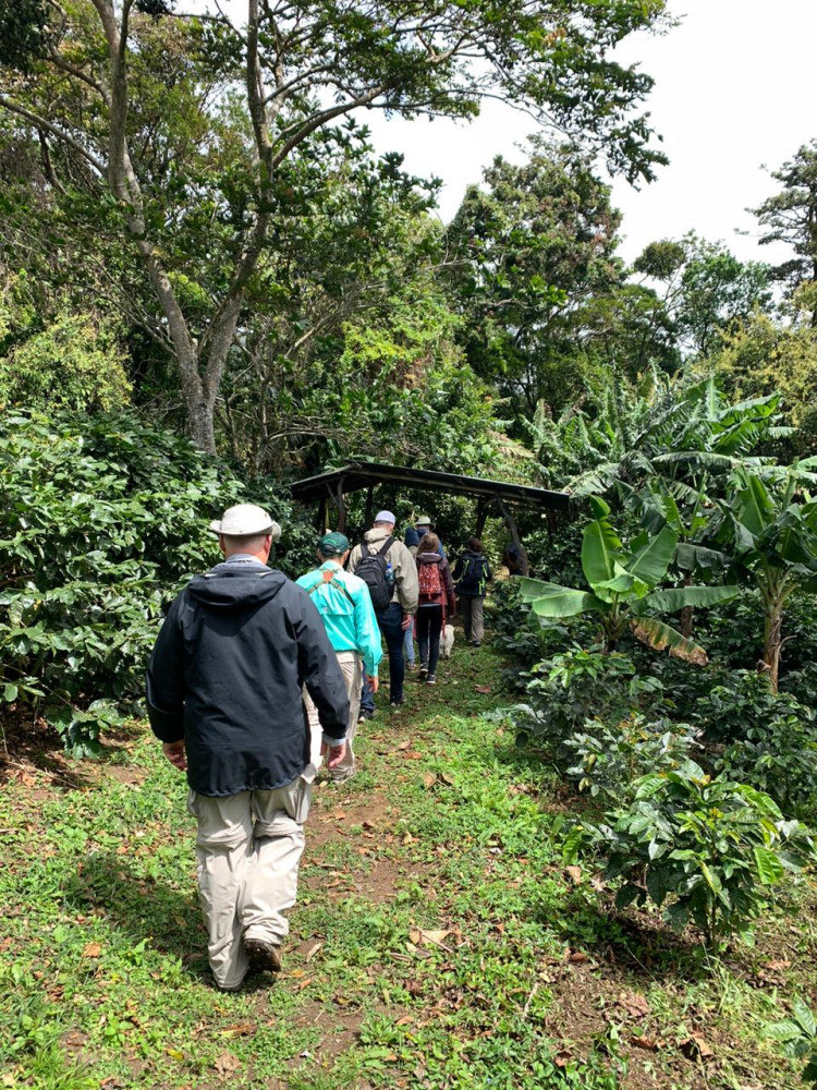 Monteverde Cloud Forest Authentic Experience - Monteverde | Project Expedition
