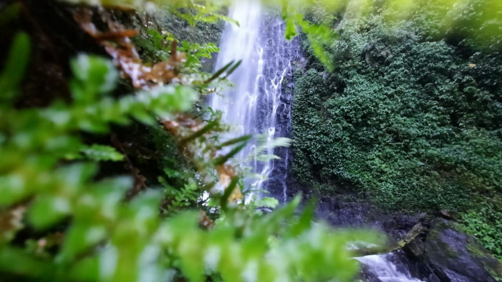 Monteverde Cloud Forest Waterfalls, Trekking and Horseback Ride ...