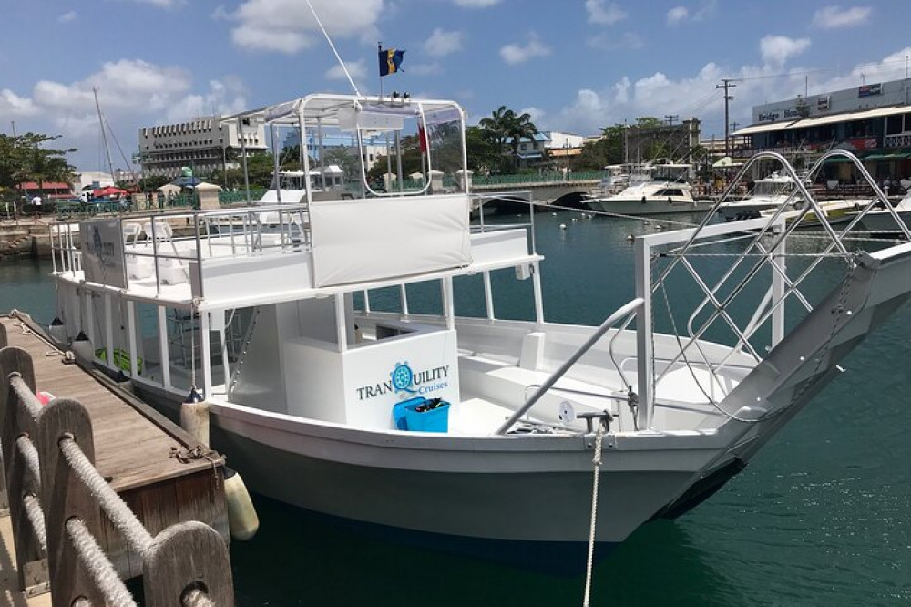 Shore Excursion Carlisle Bay Turtles & Shipwreck Snorkel Cruise ...