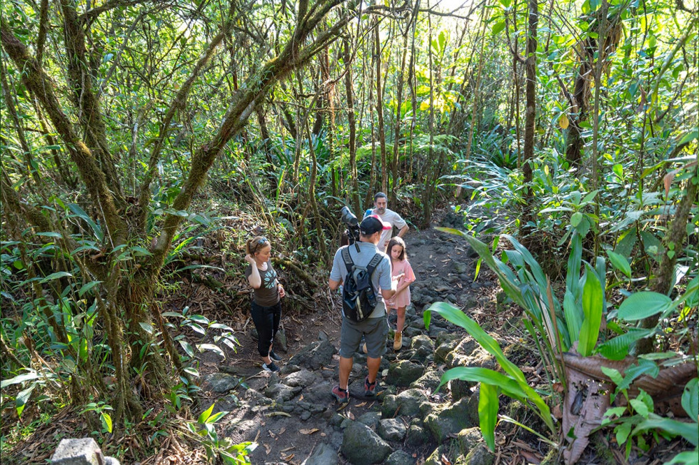 Arenal Volcano National Park Guided Hike - La Fortuna | Project Expedition
