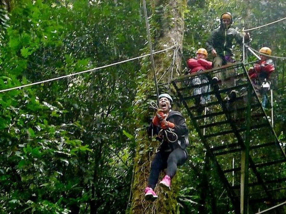 2-in-1 Arenal Rain Forest Canopy Ziplines + Tarzan Swing - La Fortuna ...