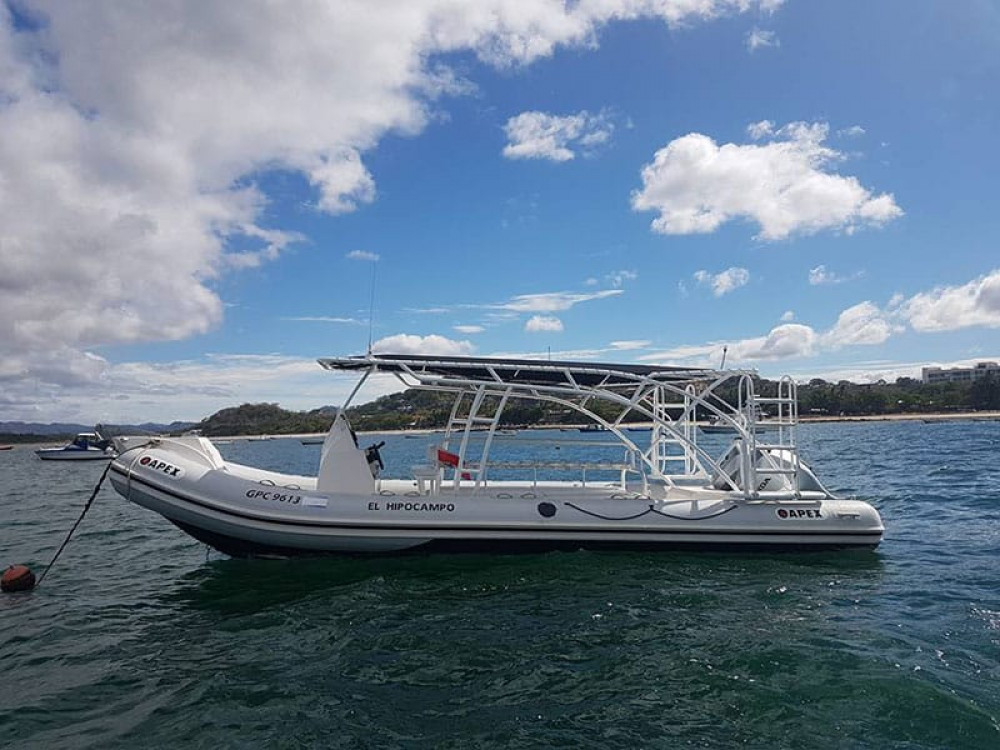 Discover Scuba Dive in Tamarindo - Tamarindo | Project Expedition