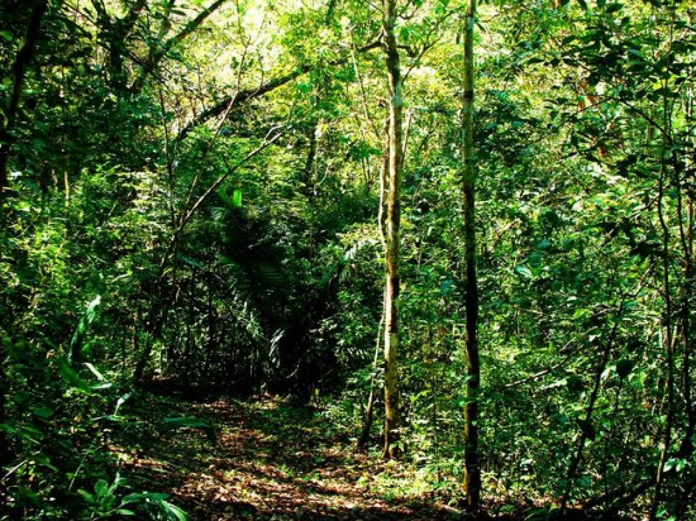 Werner Sauter Biological Reserve Guided Tour - Playa Samara | Project ...
