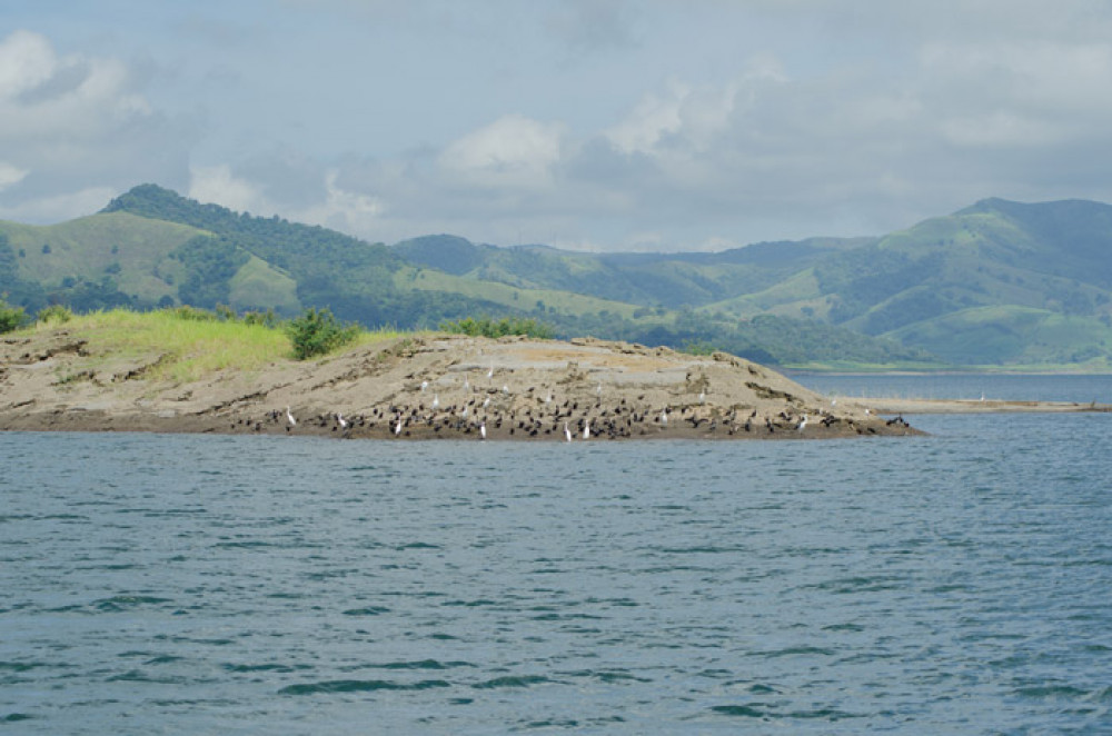 BLUE PASS | Project Expedition