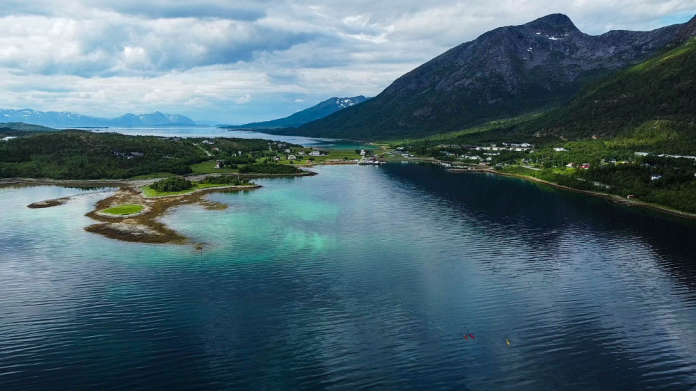 Wandering Owl - Project Expedition