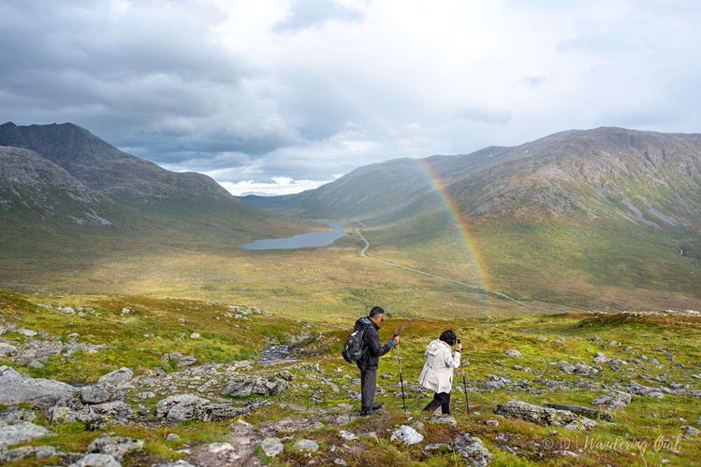 Wandering Owl - Project Expedition
