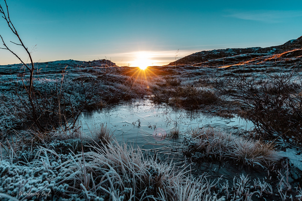 Wandering Owl - Project Expedition