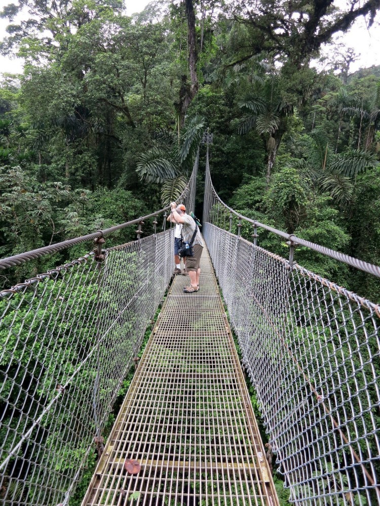 Arenal Hanging Bridges | Sights & Attractions - Project Expedition