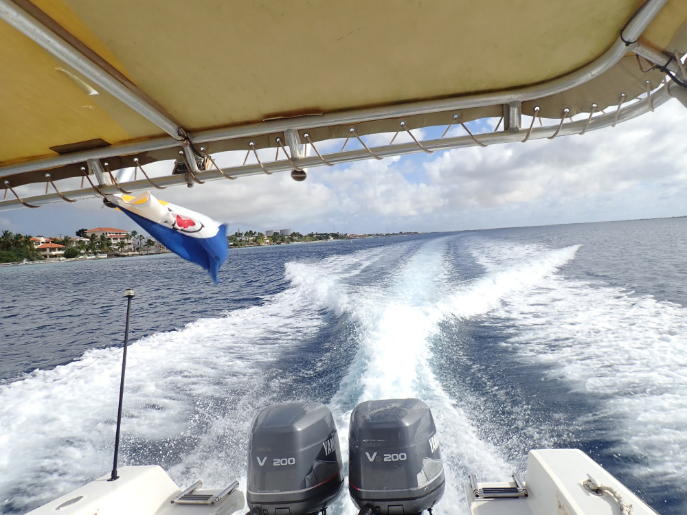 Aqua Fun Bonaire | Project Expedition