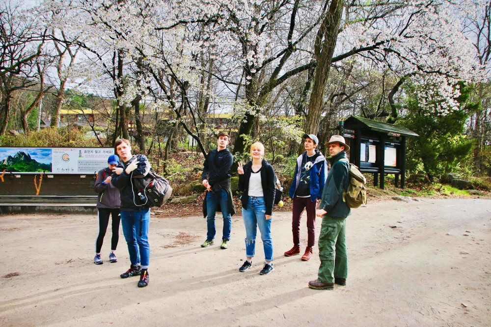 Seoul Hike: The Historic Trail - Seoul | Project Expedition