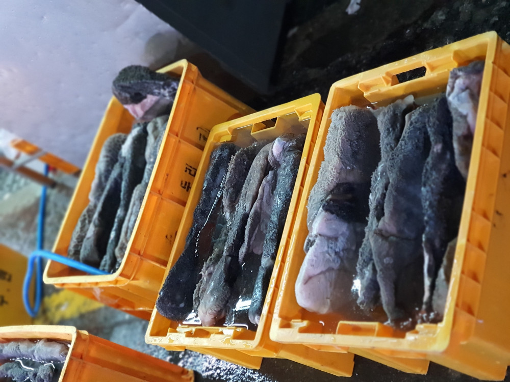 The Majang Meat Market Experience - Seoul | Project Expedition