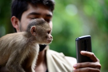 Monkey Island - Peru Sights & Attractions - Project Expedition