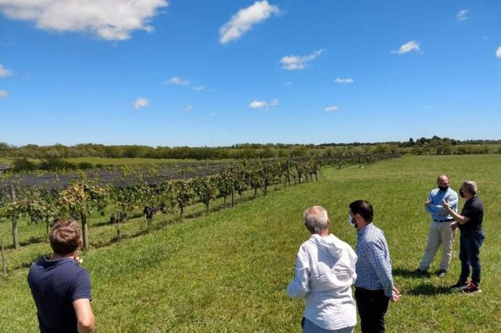 Small Group Wine Tasting & Luxury Lunch at Bodega Gamboa - Buenos Aires ...