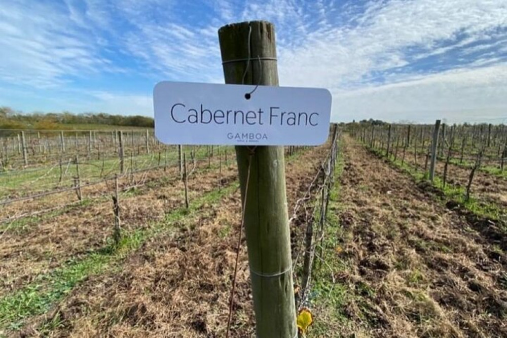 Small Group Wine Tasting & Luxury Lunch at Bodega Gamboa - Buenos Aires ...