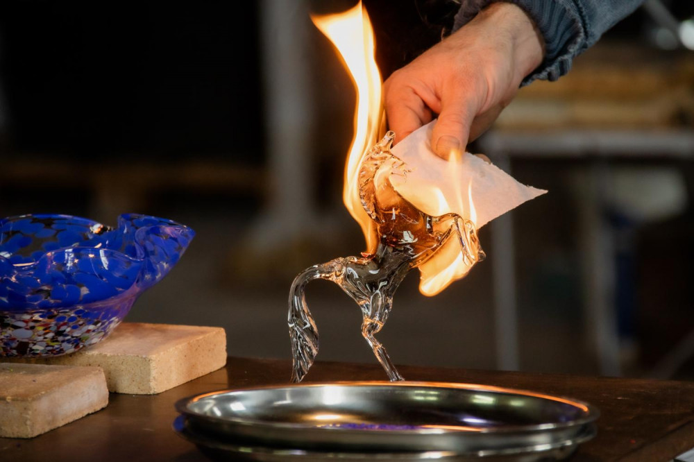 Il Doge di Venezia | Project Expedition