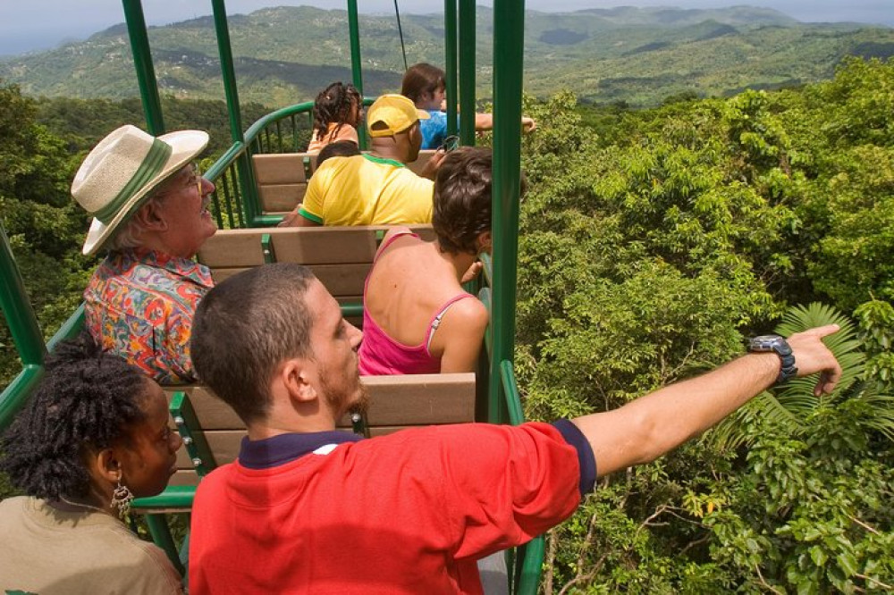 Ultimate 3: St. Lucia Zip Line, Aerial Tram & Hiking Tour - Castries ...