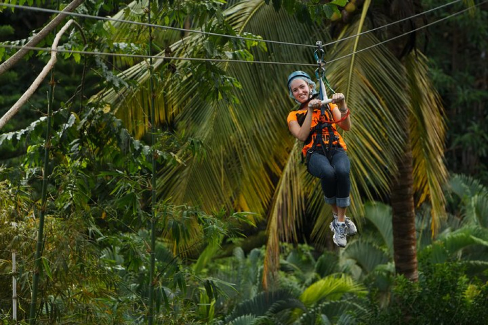 Ultimate 3: St. Lucia Zip Line, Aerial Tram & Hiking Tour - Castries ...