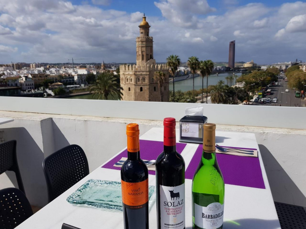 Rooftop Sangria Tasting With Sevilla City Views - Seville | Project ...